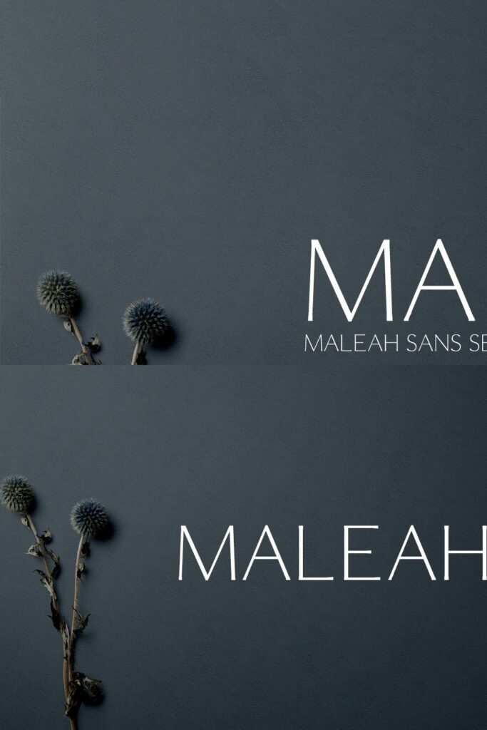 Maleah Sans Serif 4 Font Family Pack – MasterBundles