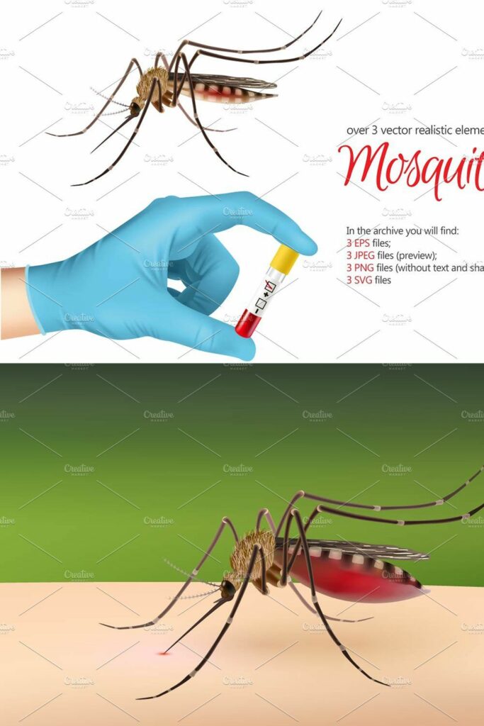 Mosquito Realistic Set – MasterBundles