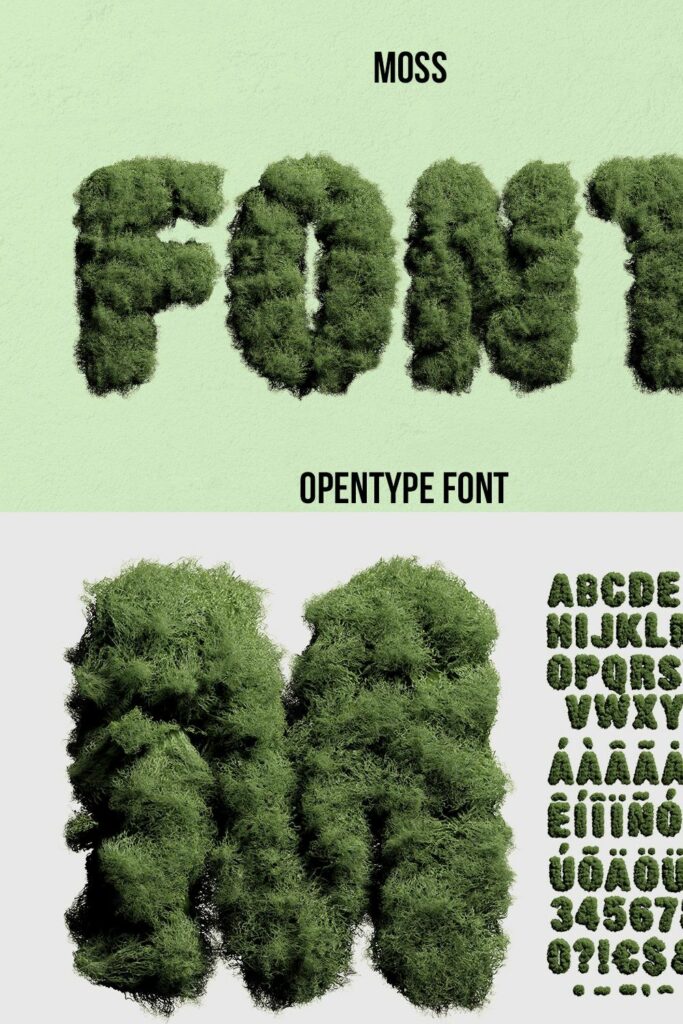 Moss Font – MasterBundles