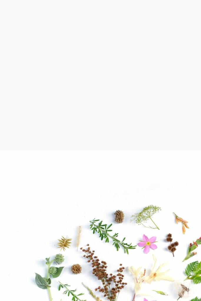 Neulis Font Family – MasterBundles