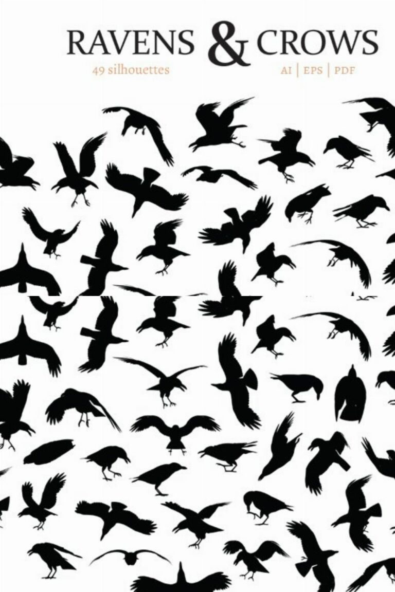 Ravens & Crows – MasterBundles