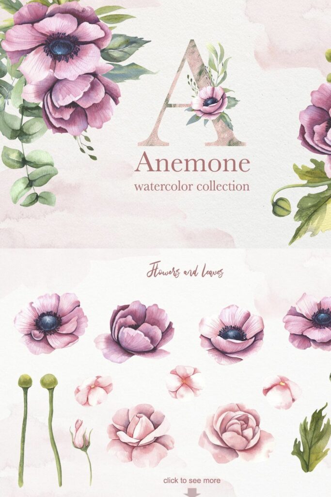 Sale 20%-Anemones Collection. – MasterBundles