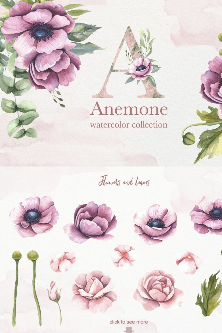 Sale 20%-Anemones Collection. – MasterBundles