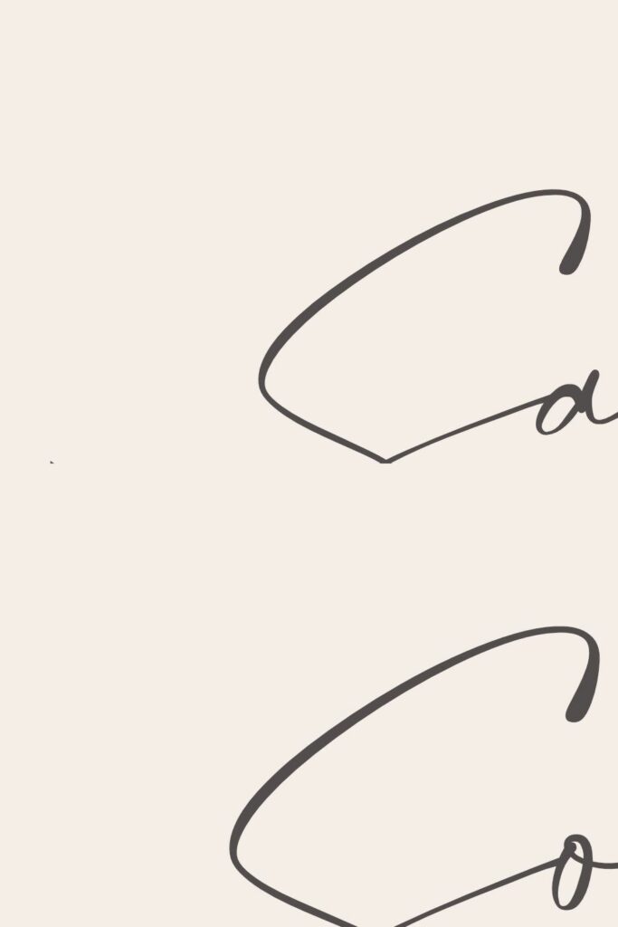 Salty Feathers - Modern Script – MasterBundles