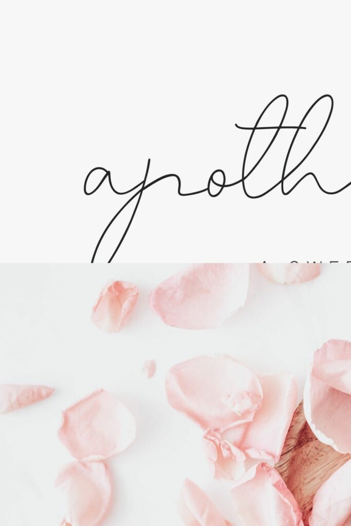 Script Font Apotheosis – MasterBundles
