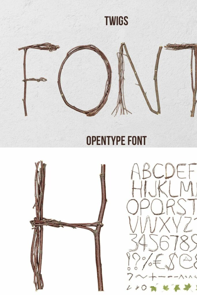 Twigs Font – MasterBundles