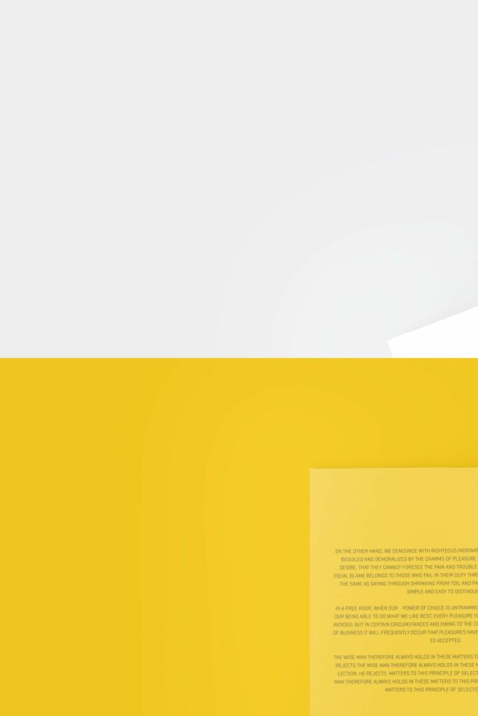 US Letter 3-Fold Brochure Mockup – MasterBundles