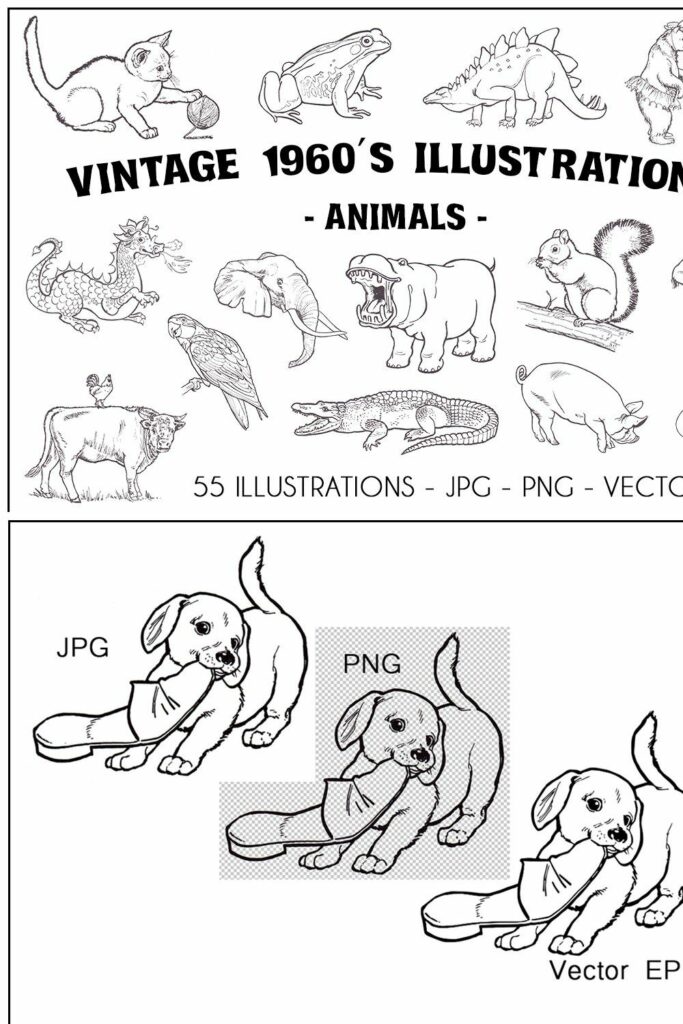 Vintage 1960's Illustrations-Animals – MasterBundles