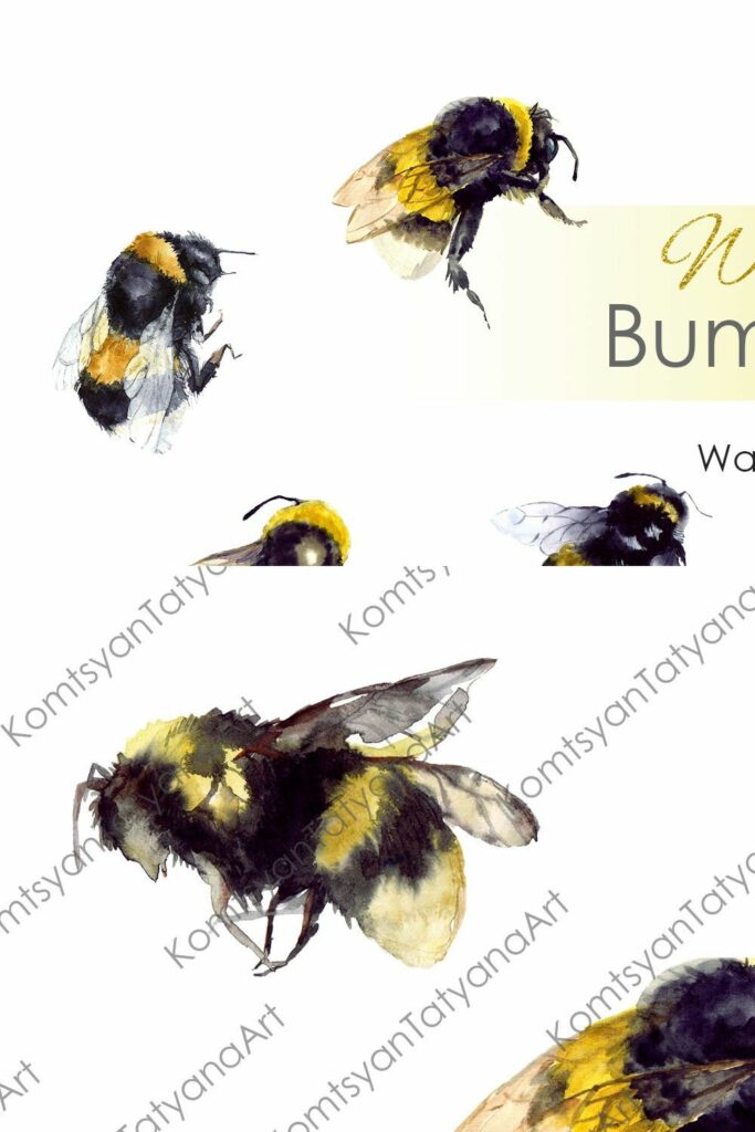 Watercolor Clipart. Bumble Bee art – MasterBundles