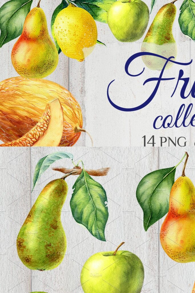 Watercolor fruits set – MasterBundles