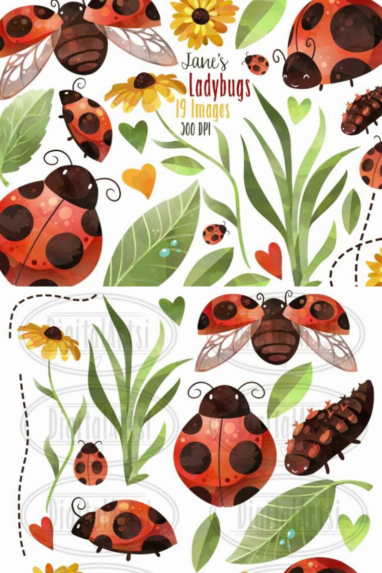 Watercolor Ladybug Clipart – MasterBundles