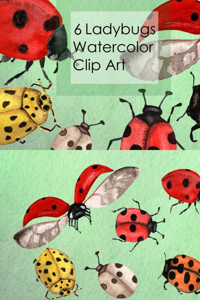 Watercolor Ladybugs Clip Art – MasterBundles