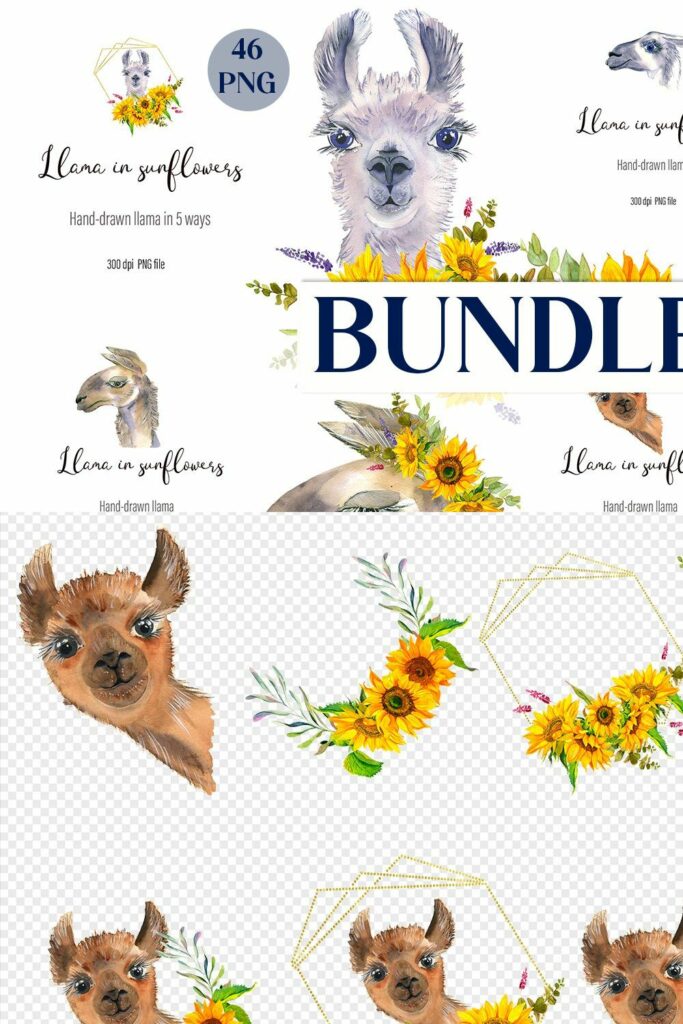 Watercolor Llama Clipart - Bundle – MasterBundles