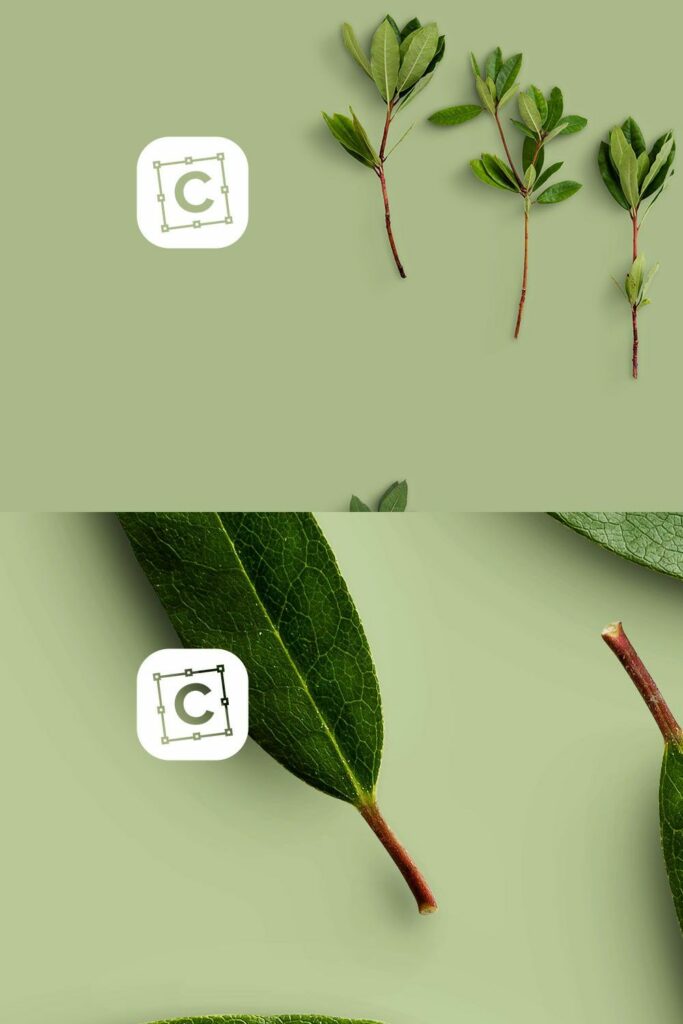 Wedding Plants Scene Creator – MasterBundles