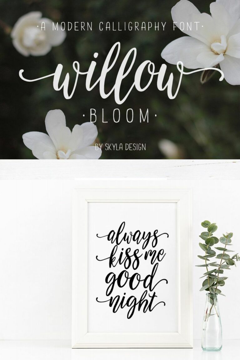 Willow Bloom modern calligraphy font – MasterBundles