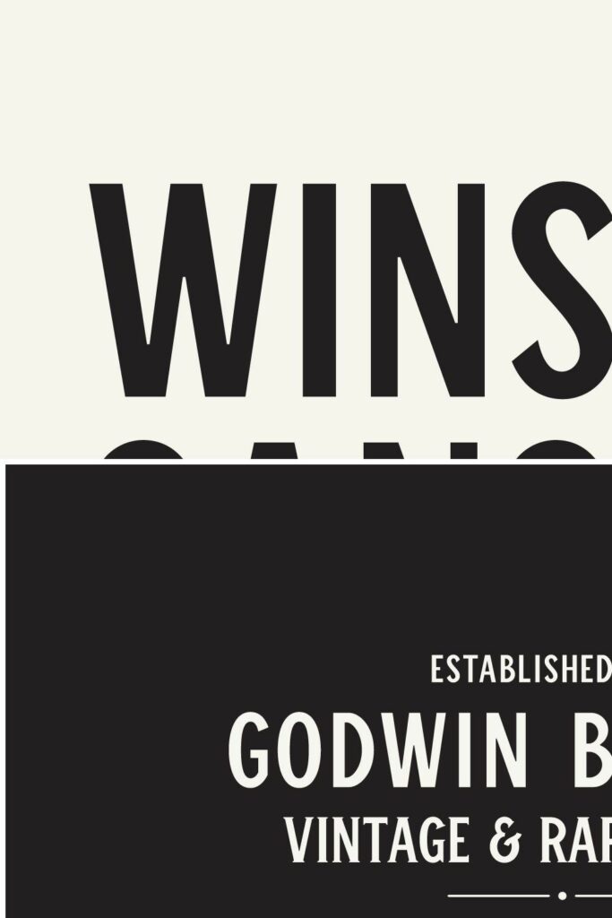Winston Sans Typeface – MasterBundles