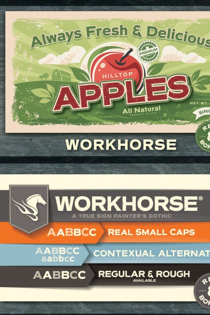 Workhorse Rough – MasterBundles