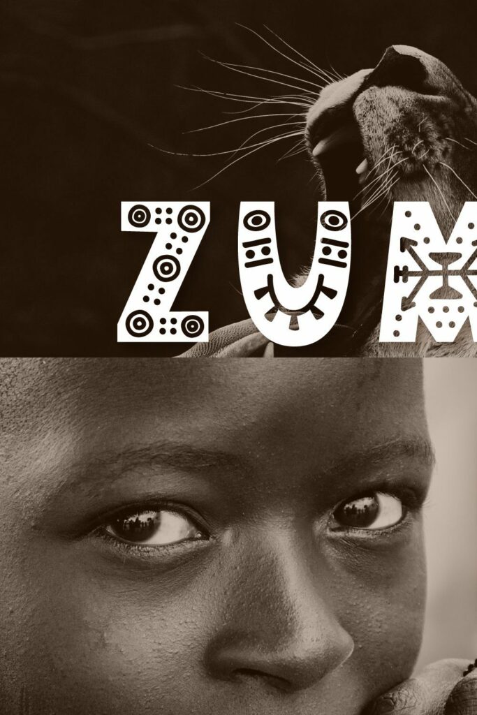 Zumba Tribal Font Family – MasterBundles
