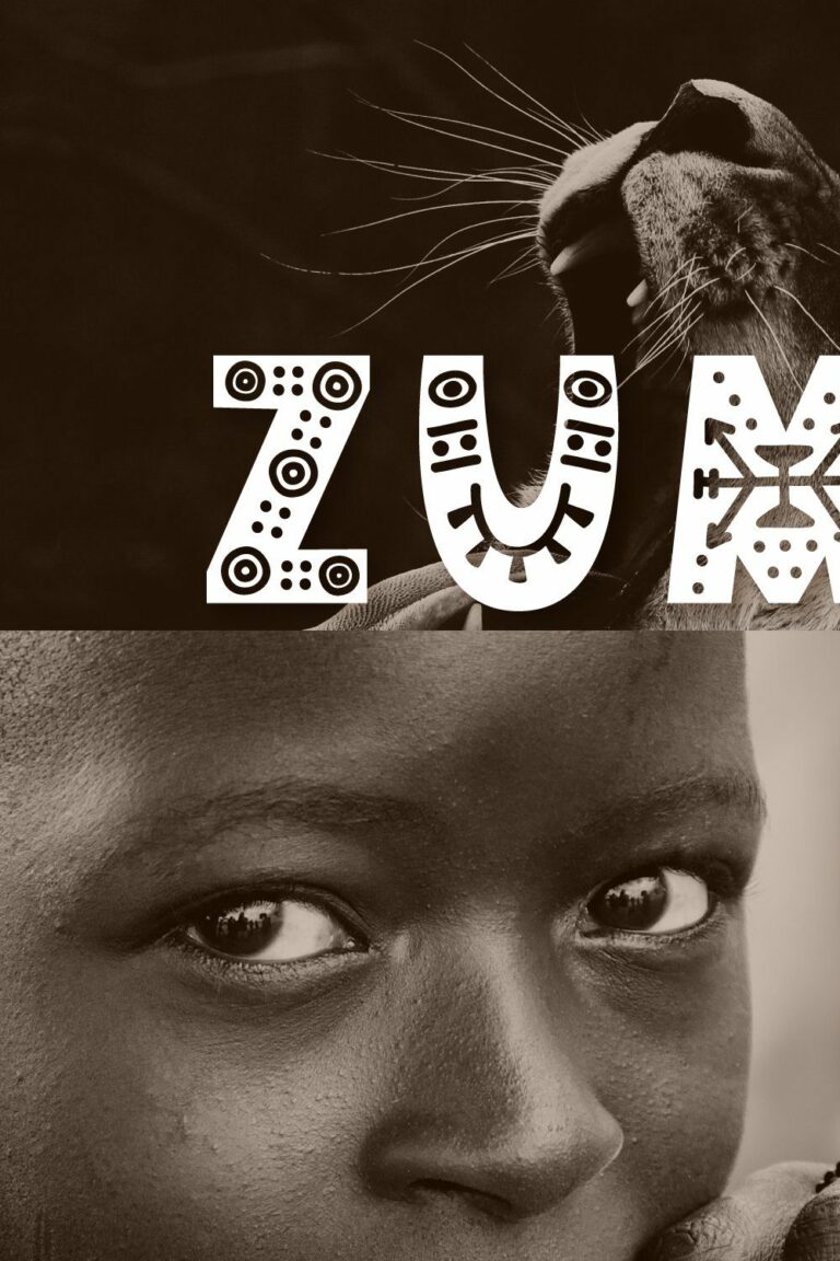 Zumba Tribal Font Family – MasterBundles