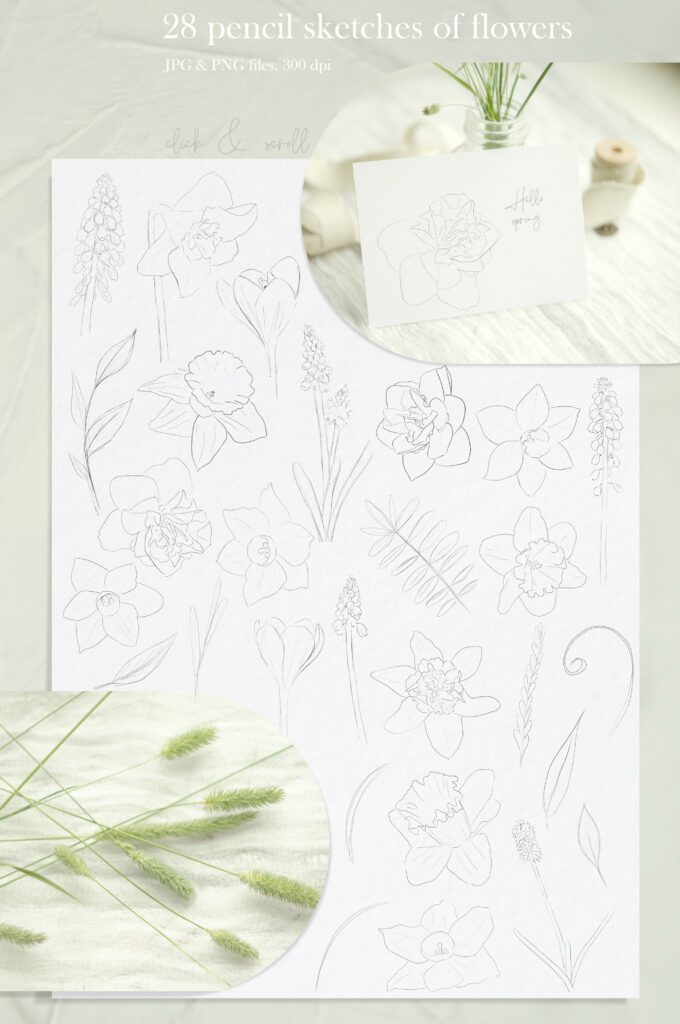 Pencil Sketches of Spring Flowers – MasterBundles