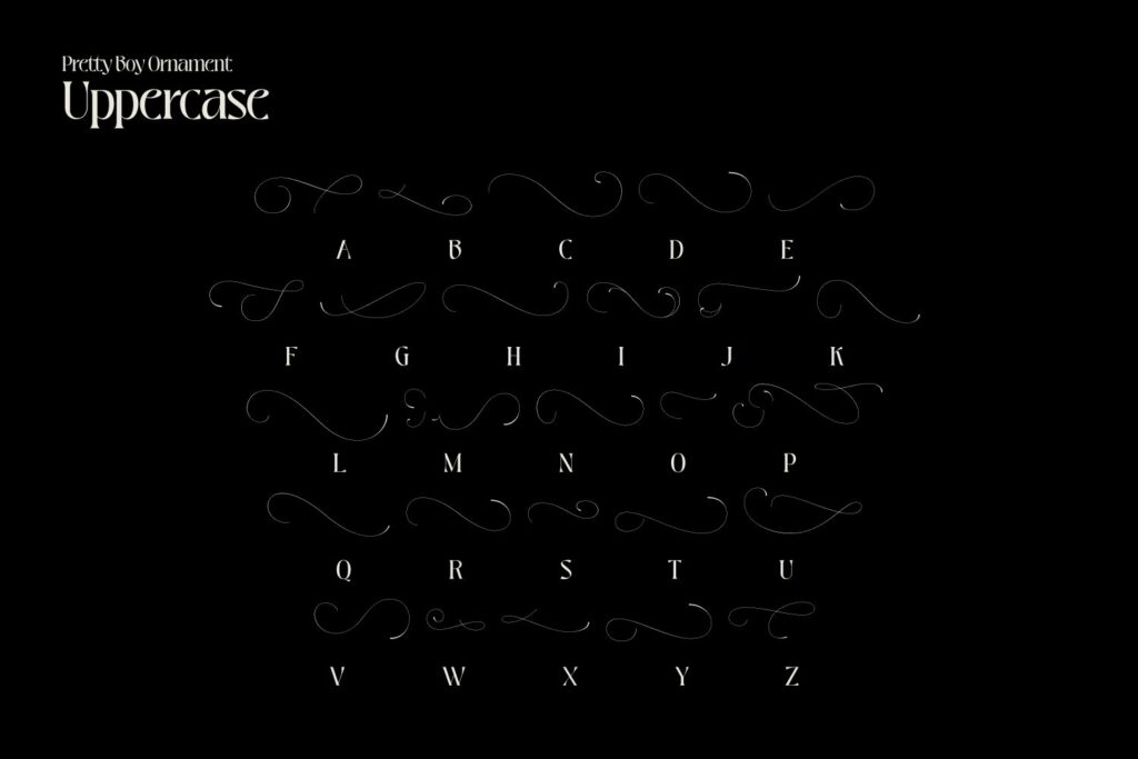 Pretty Boy - Decorative Serif family – MasterBundles