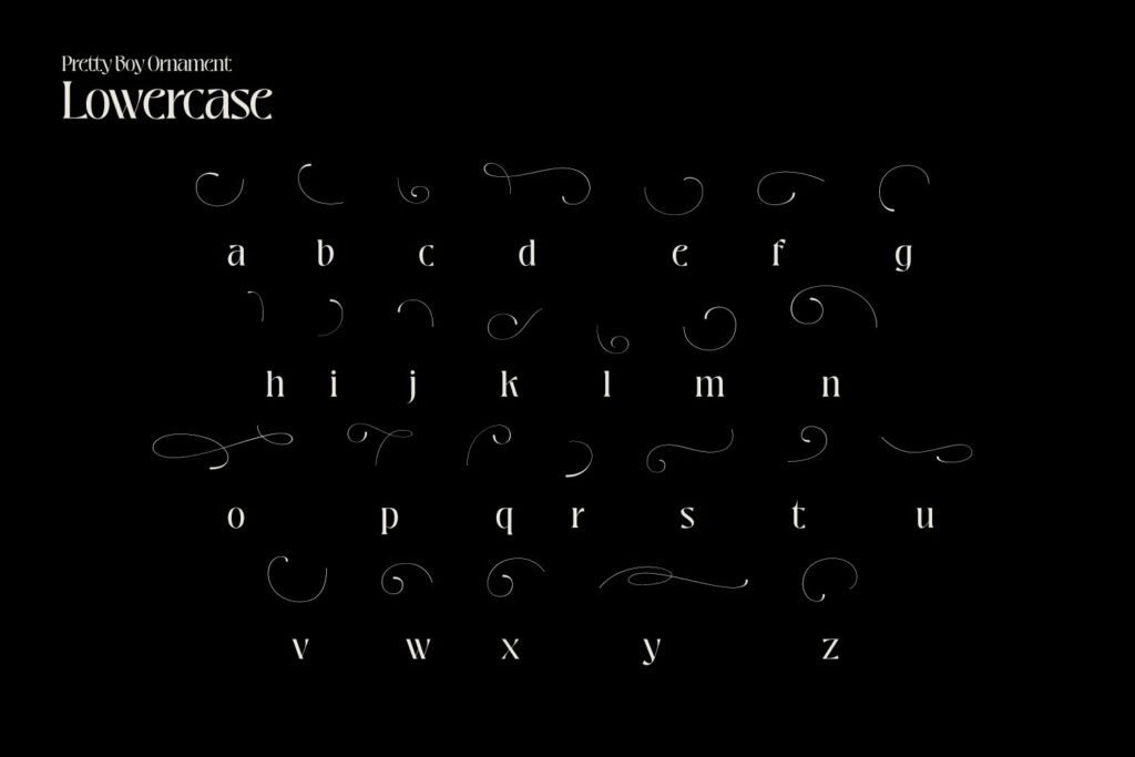 Pretty Boy - Decorative Serif family – MasterBundles