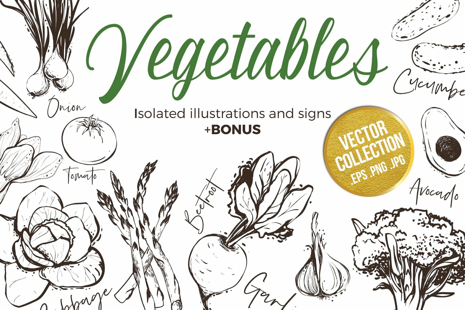 Outline Vegetables Set + Pattens – MasterBundles
