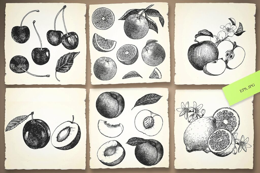 Fruit Collection / part 1 – MasterBundles