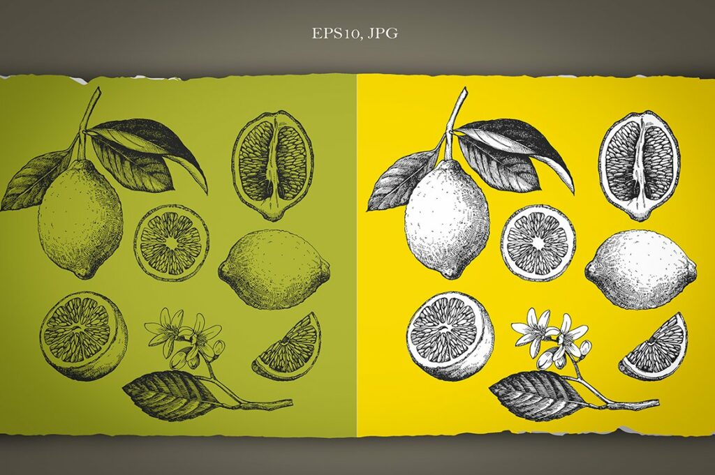 Lemon Collection – MasterBundles
