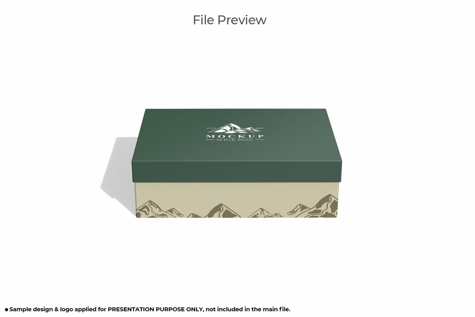 Rectangular Shoe Box Package Mockup – MasterBundles