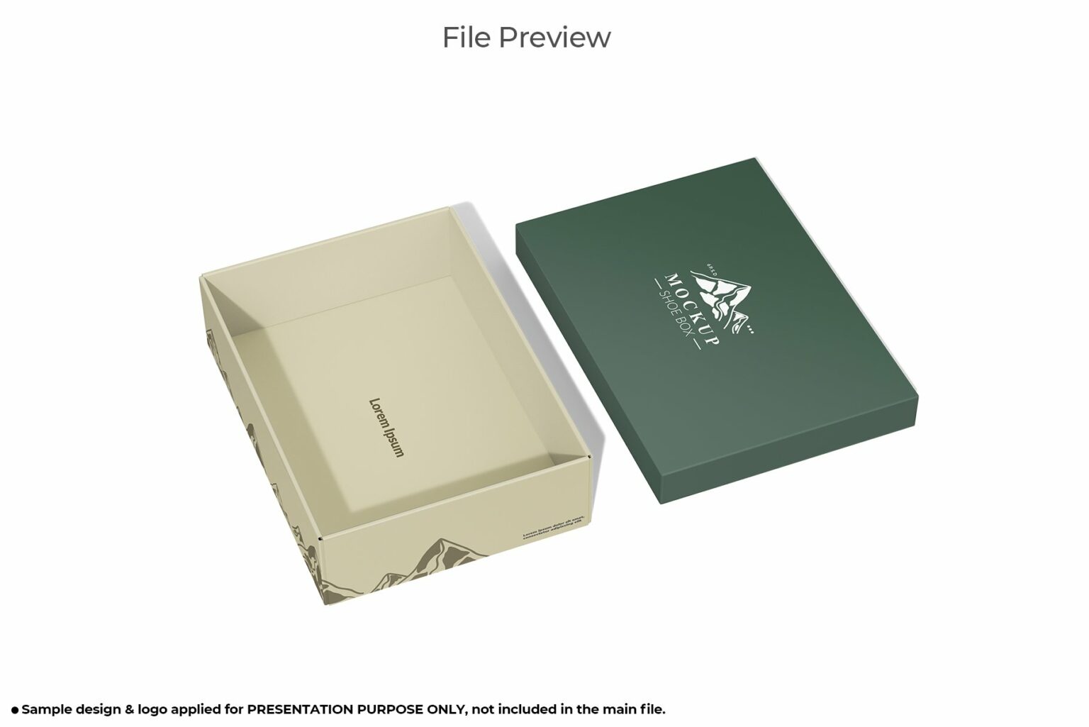 Rectangular Shoe Box Package Mockup – MasterBundles