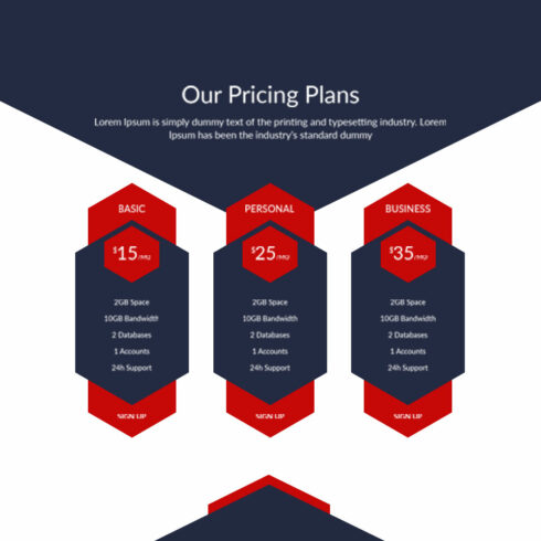 Two pricing plan Editable Graphic Template