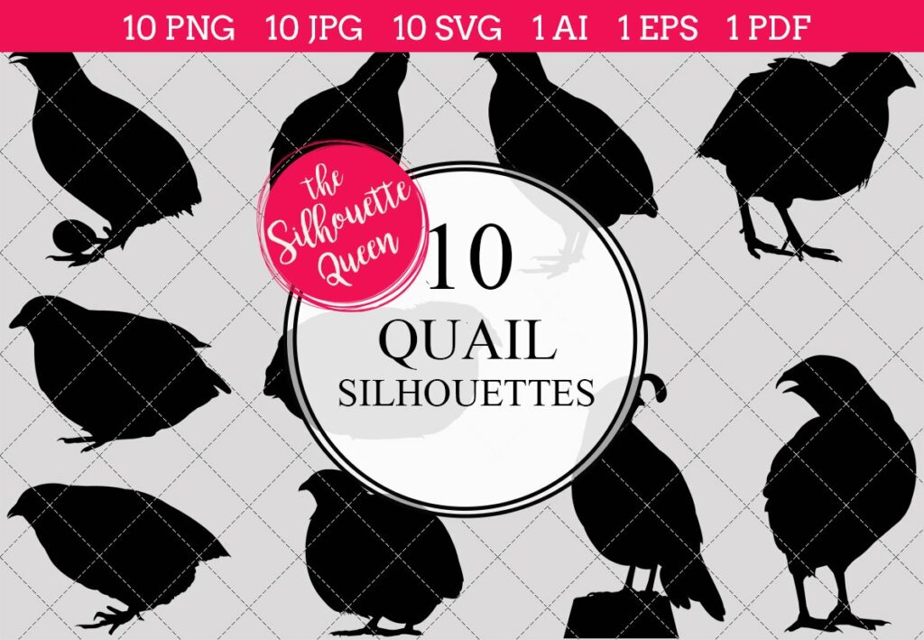 Quail Silhouette Vector Graphics – MasterBundles