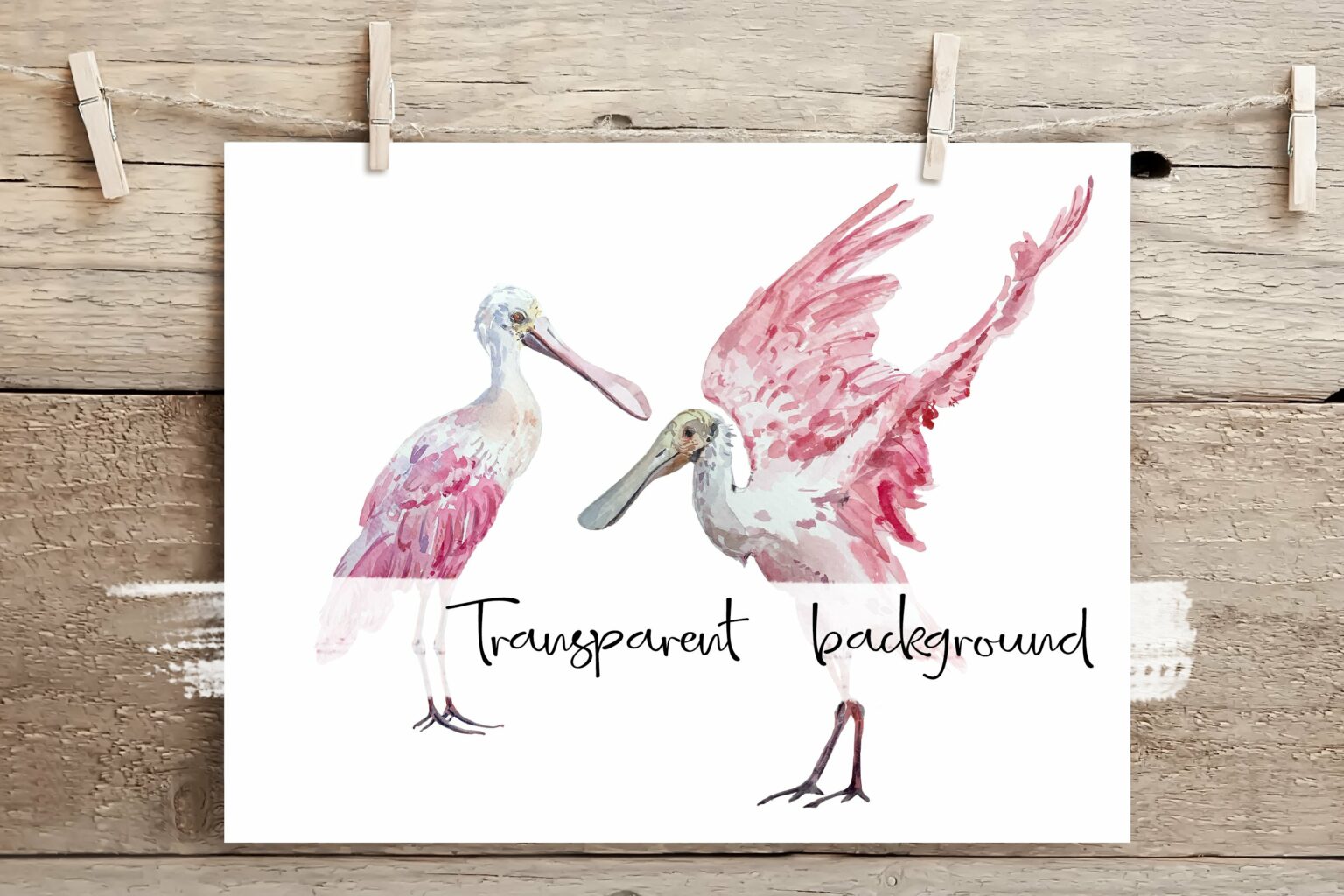 Roseate Spoonbill - Watercolor Print – MasterBundles
