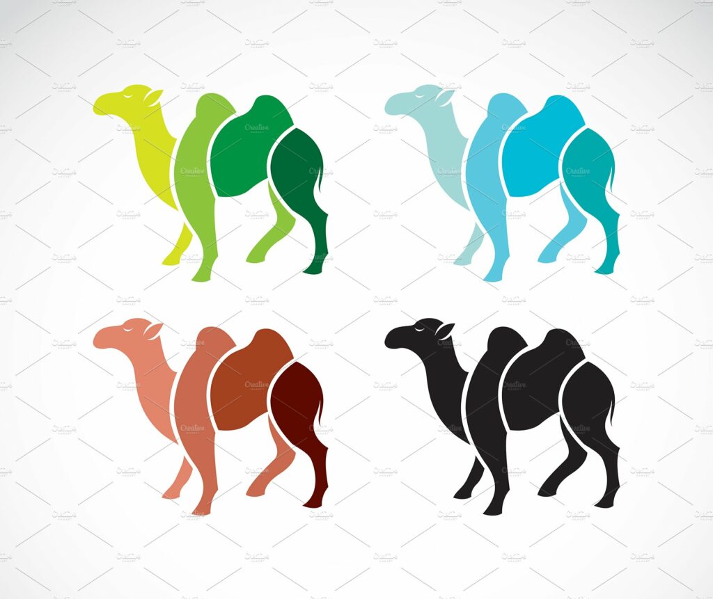 Vector of camel design. Animals. – MasterBundles