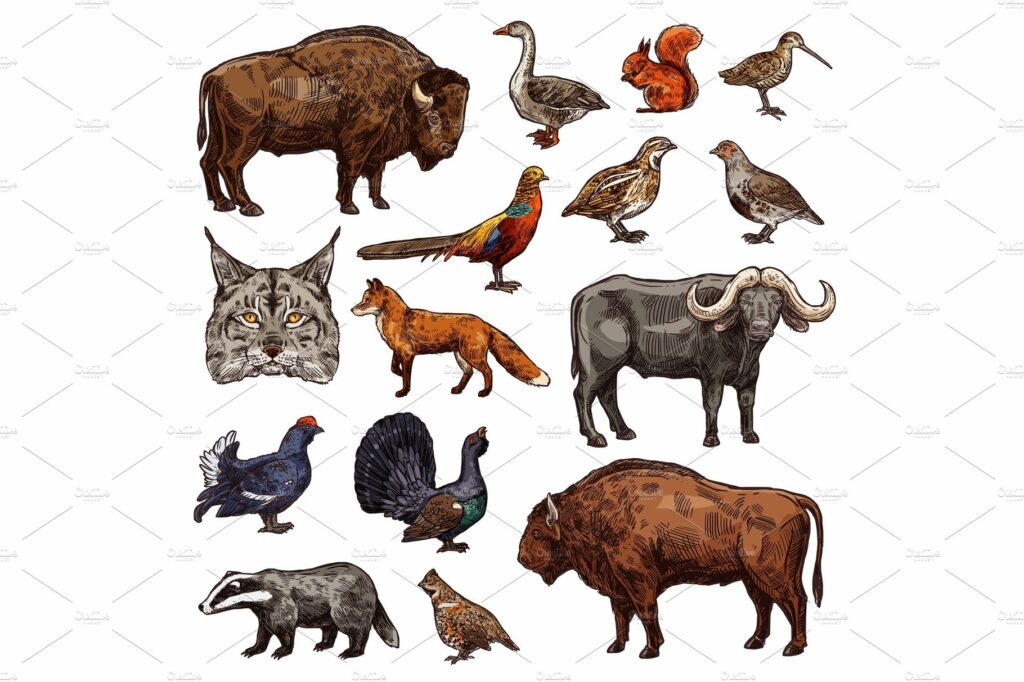 Hunting sport animals and birds. – MasterBundles