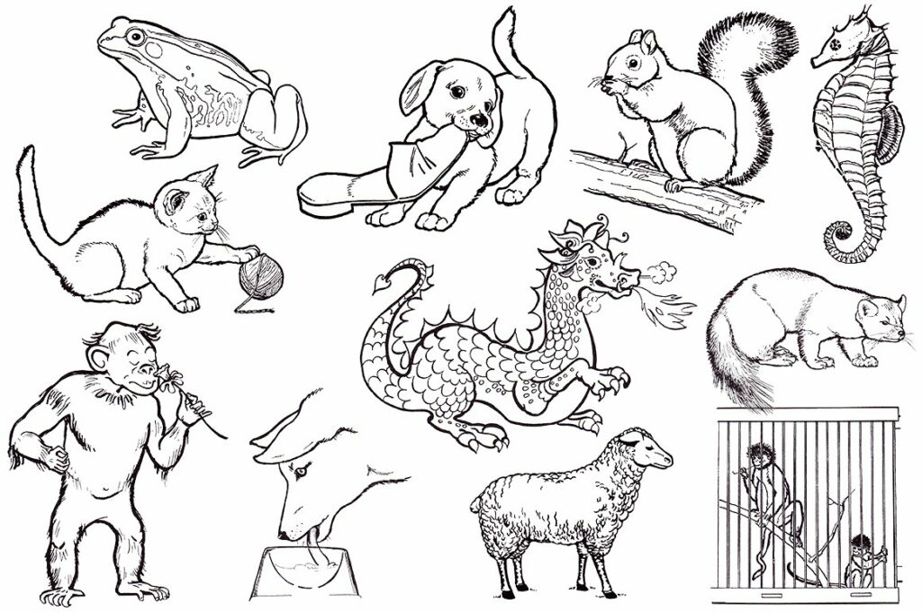 Vintage 1960's Illustrations-Animals – MasterBundles