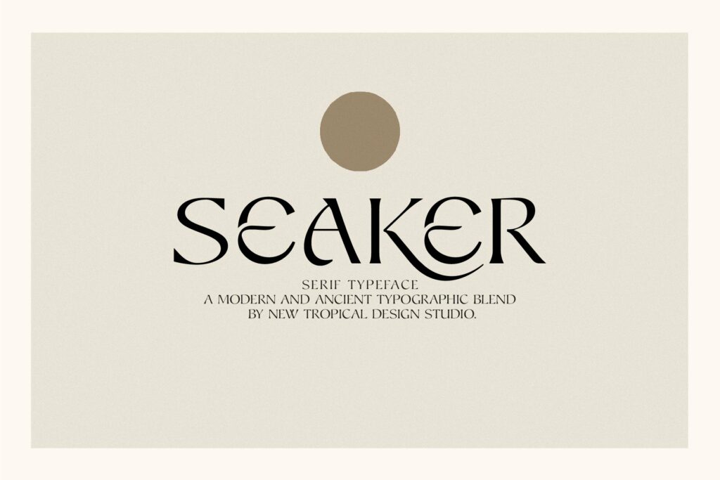 Seaker - Serif Typeface – MasterBundles