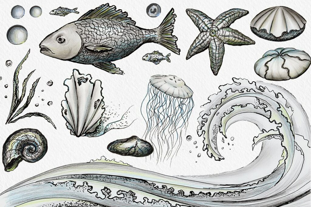 Sea Life - Ink & pencil pack – MasterBundles