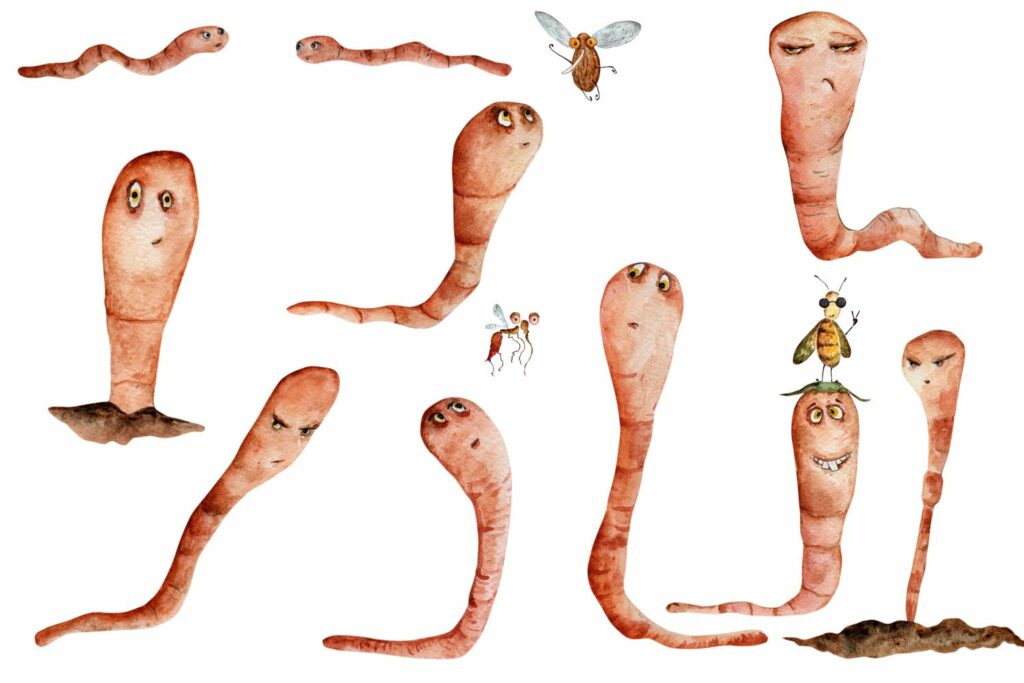 Collection of watercolor worms – MasterBundles