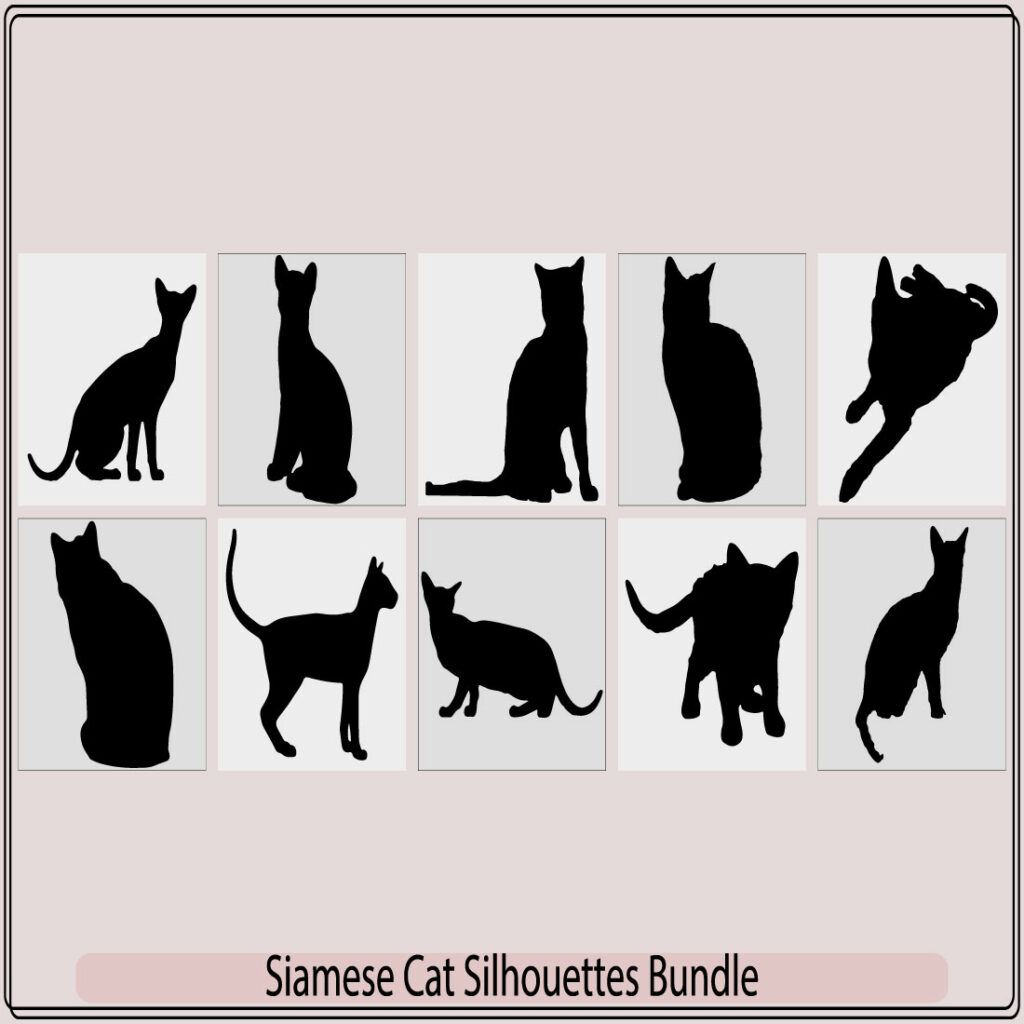Siamese colorpoint cats. Vector illustration,Siamese cat,cats border ...