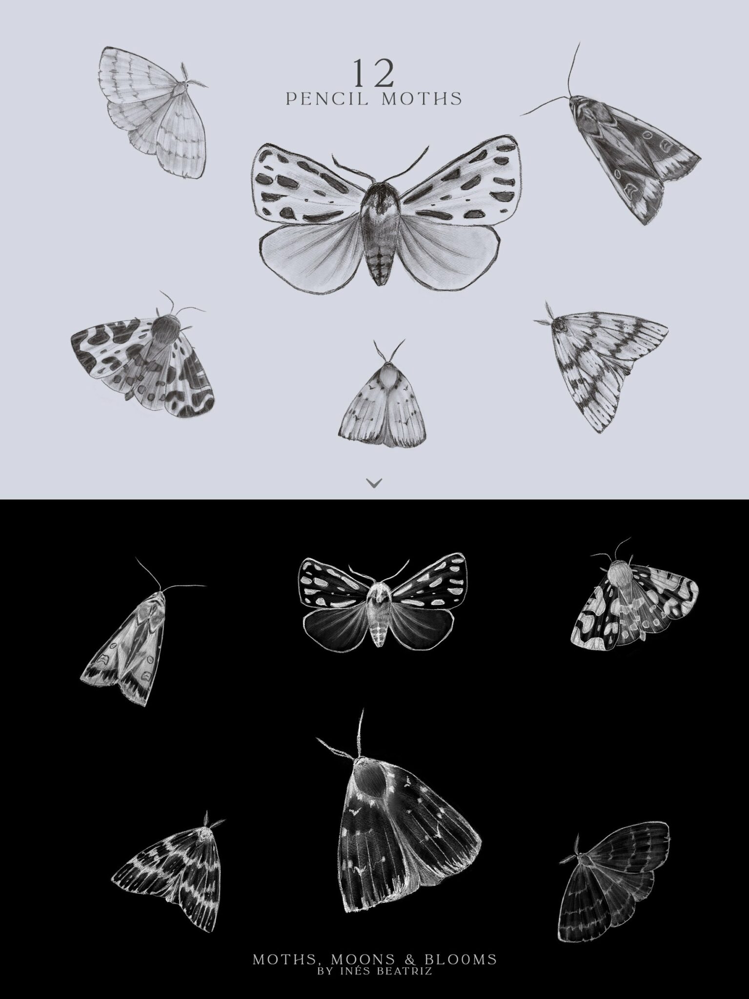 MOTHS, MOONS & BLOOMS watercolor set – MasterBundles