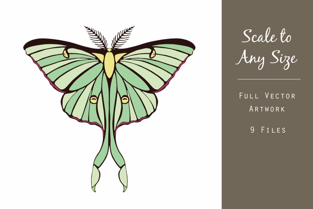 Luna Moth Vector Graphic Set – MasterBundles
