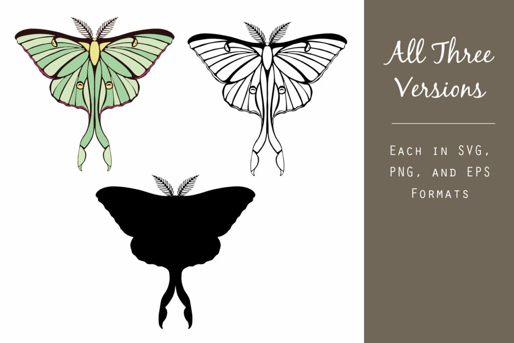 Luna Moth Vector Graphic Set – MasterBundles