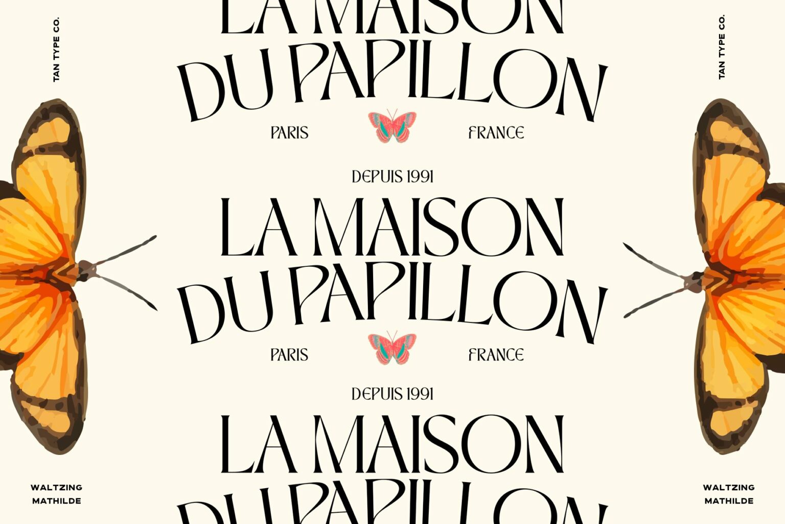 TAN - WALTZING MATHILDE – MasterBundles