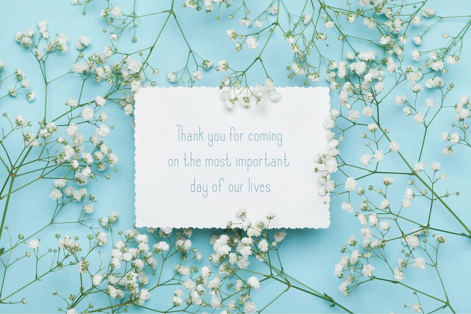 Sprout - Sans Serif Font – MasterBundles