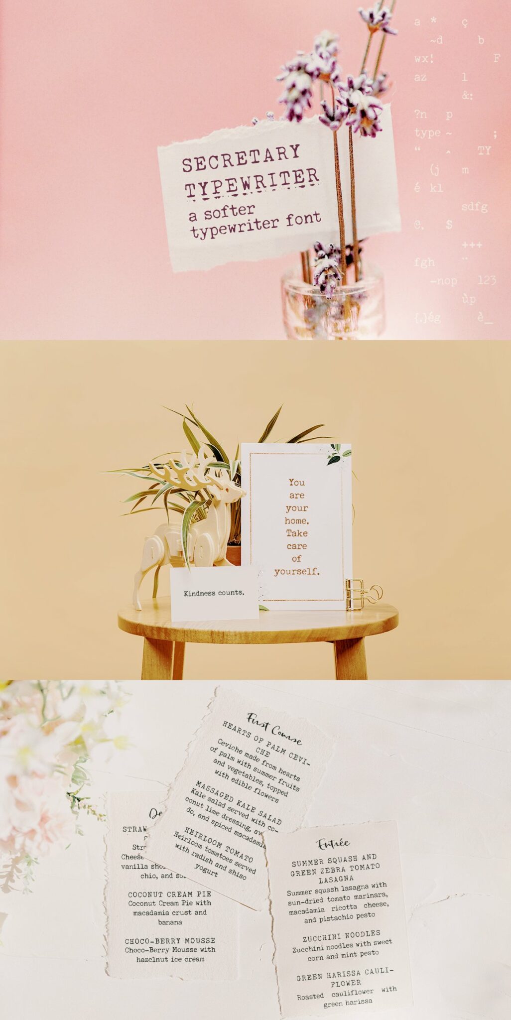 Secretary Typewriter font – MasterBundles