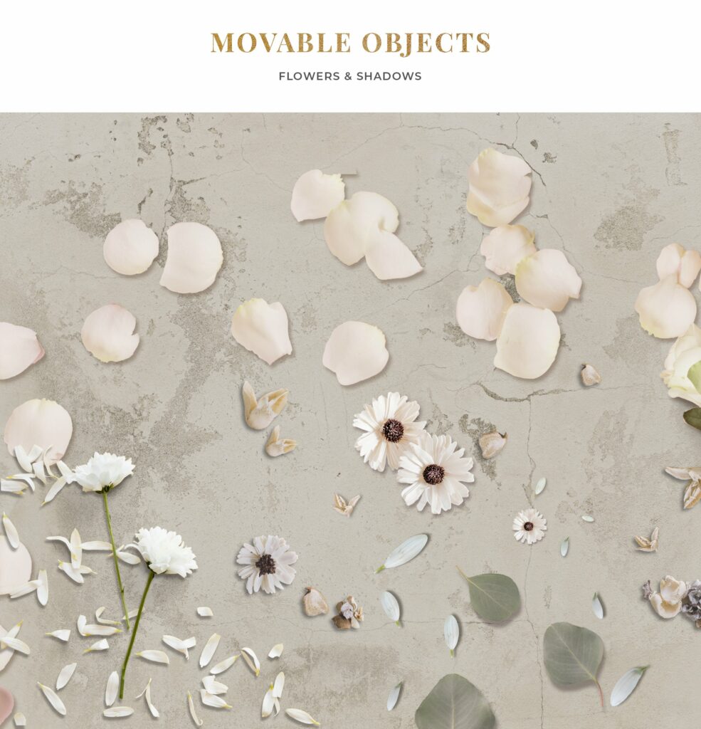 Scene Creator - Floral mockup – MasterBundles