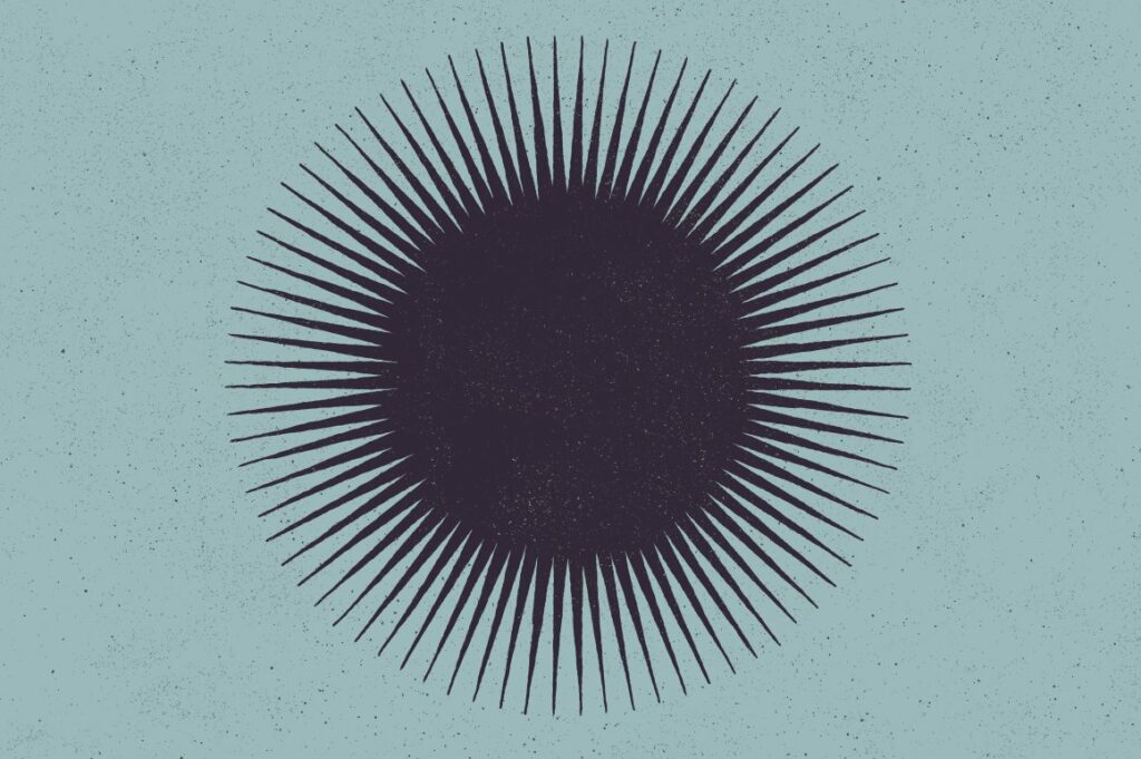 10 StarBurst - Hand Illustrated – MasterBundles