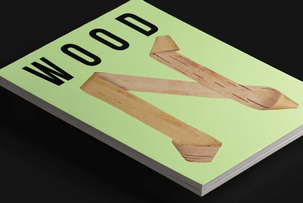 Birch Curl Font – MasterBundles